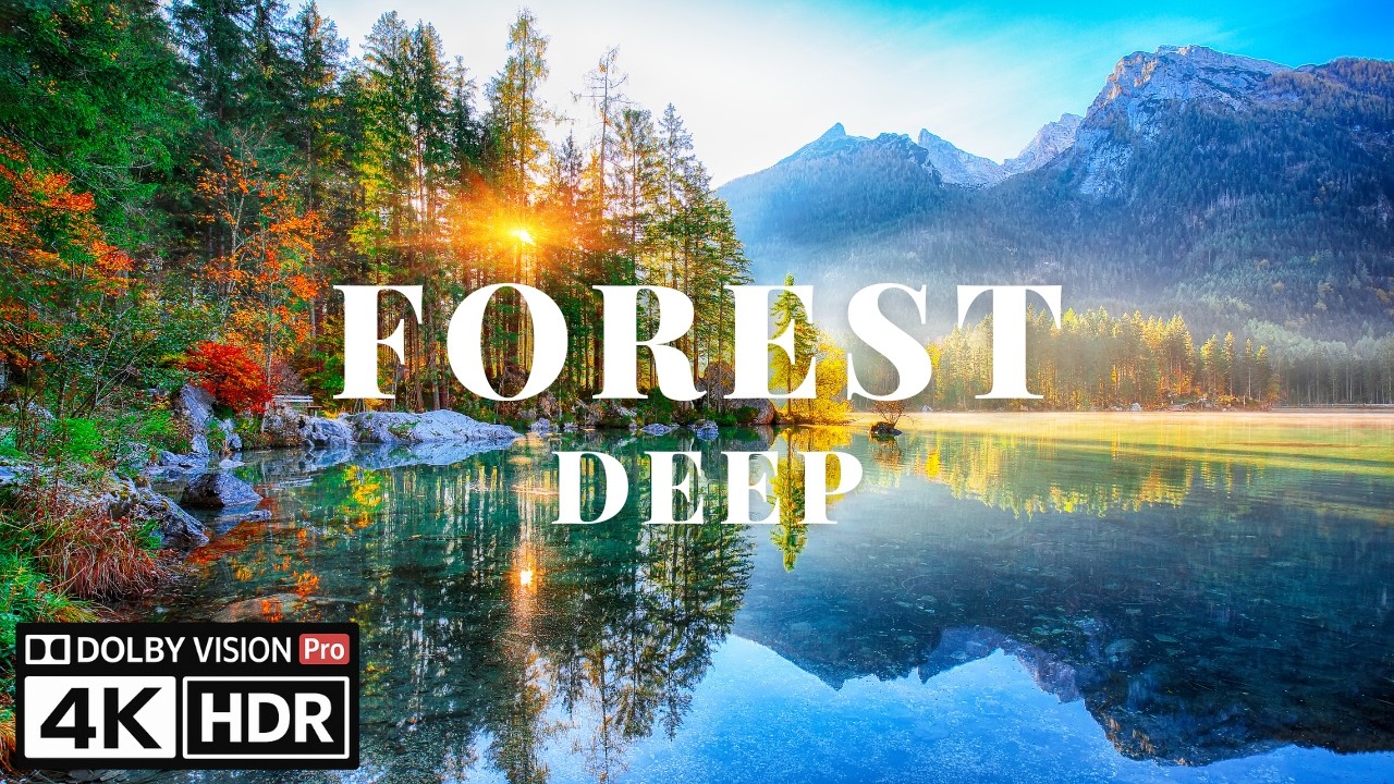 Deep Forest 4K • Calm Nature & Relaxing Woods Ambient Music (Ultra HD ...