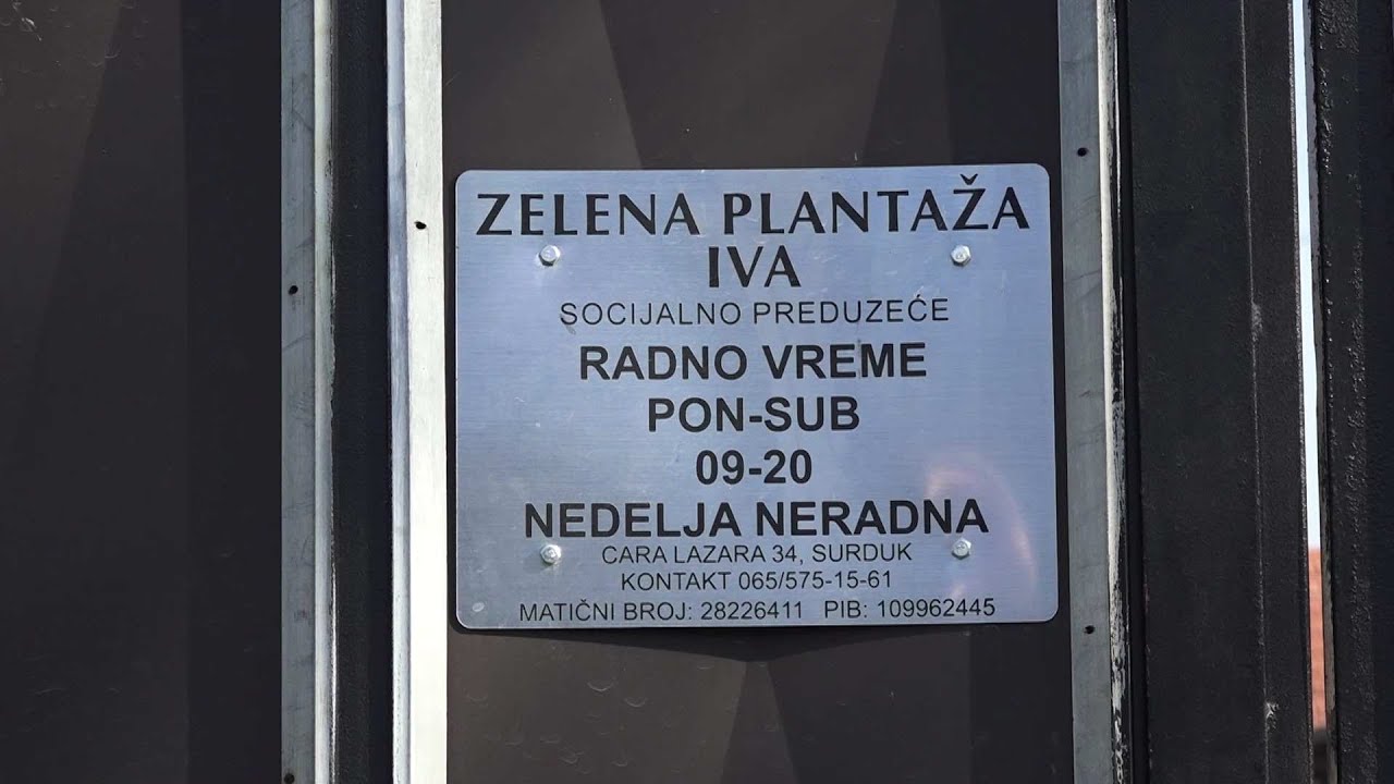 Zelena plantaža Iva - kako ukućani provode vreme? - YouTube