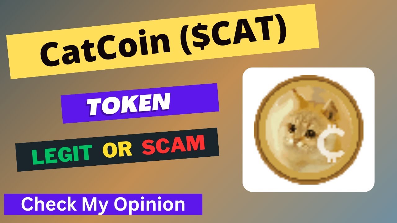 CatCoin (CAT) Token is a Legit or Scam | Is CAT token Legit or Scam ...