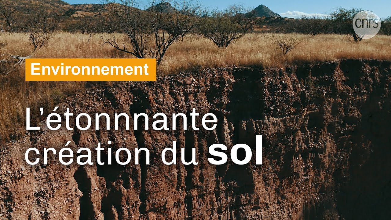 Aux origines du sol | Reportage CNRS - YouTube