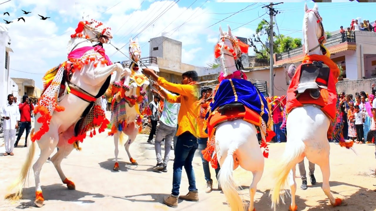 घोडी का नागिन डांस - Ghodi Dance performance !! Ghodi Dance Competition ...