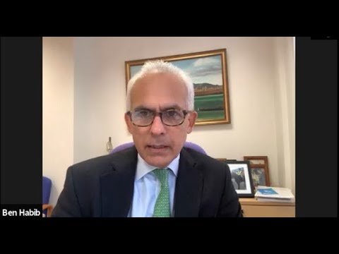 Former MEP Ben Habib on the Northern Irish Protocol - YouTube