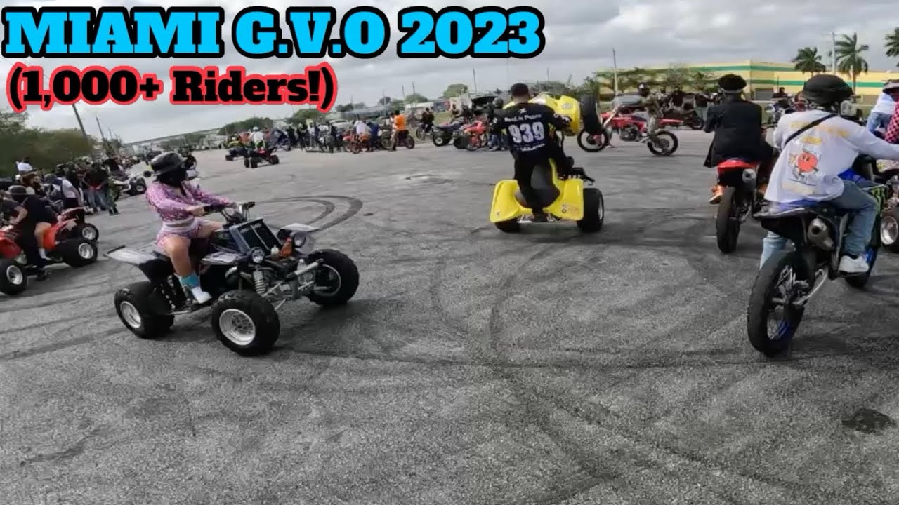 GVO MADNESS 2023! (Part One) - YouTube
