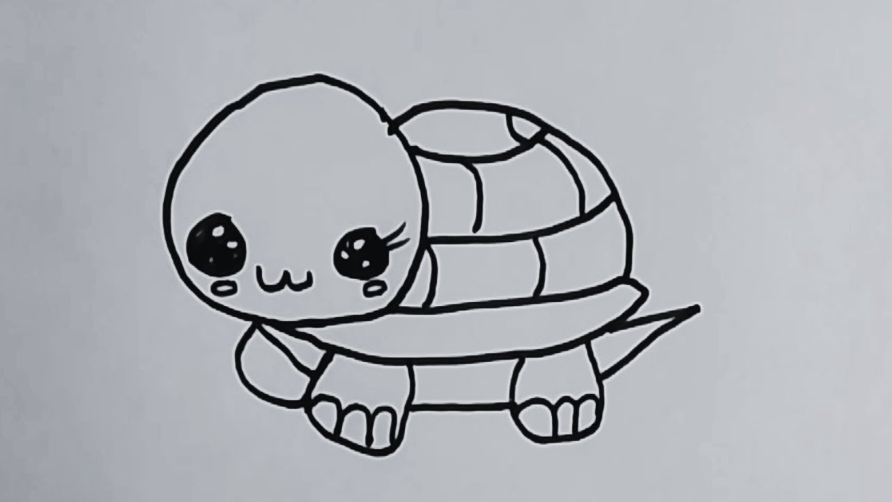 How to draw a Cute Turtle || step by step Drawing - YouTube