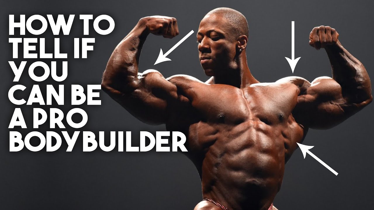 Can YOU Be A Pro Bodybuilder YouTube can-you-be-a-pro-bodybuilder-youtube