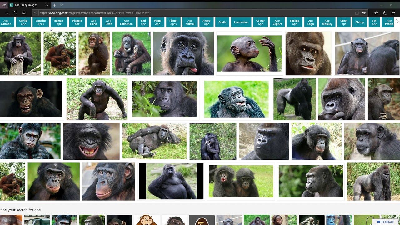 u u ah ah ape sounds - YouTube