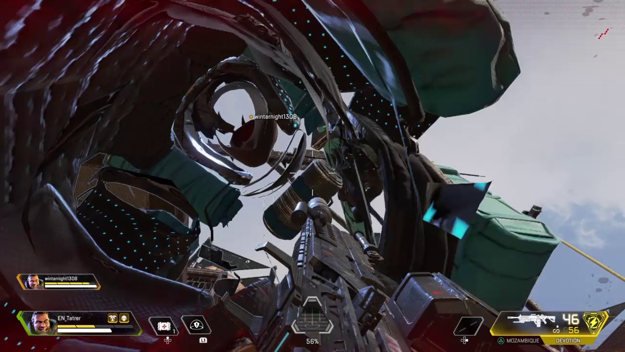 I fond two dog in Apex - YouTube