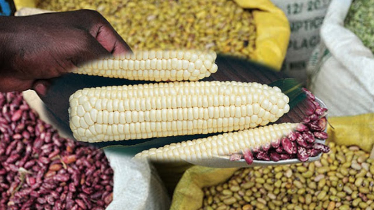 TAARIFA MUHIMU kwa WAUZAJI WOTE wa BIDHAA za CHAKULA NCHINI... - YouTube