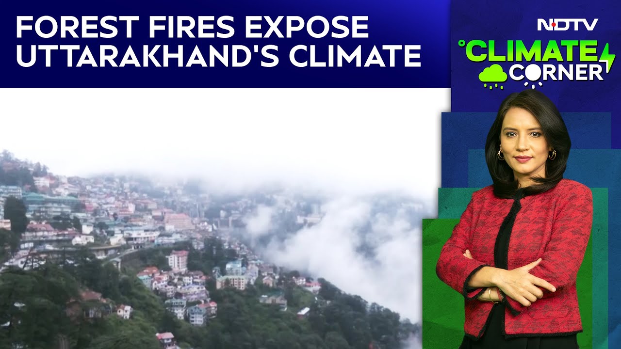 Dry, Dangerous Winter: Forest Fires Near Nanda Devi Expose Uttarakhand ...