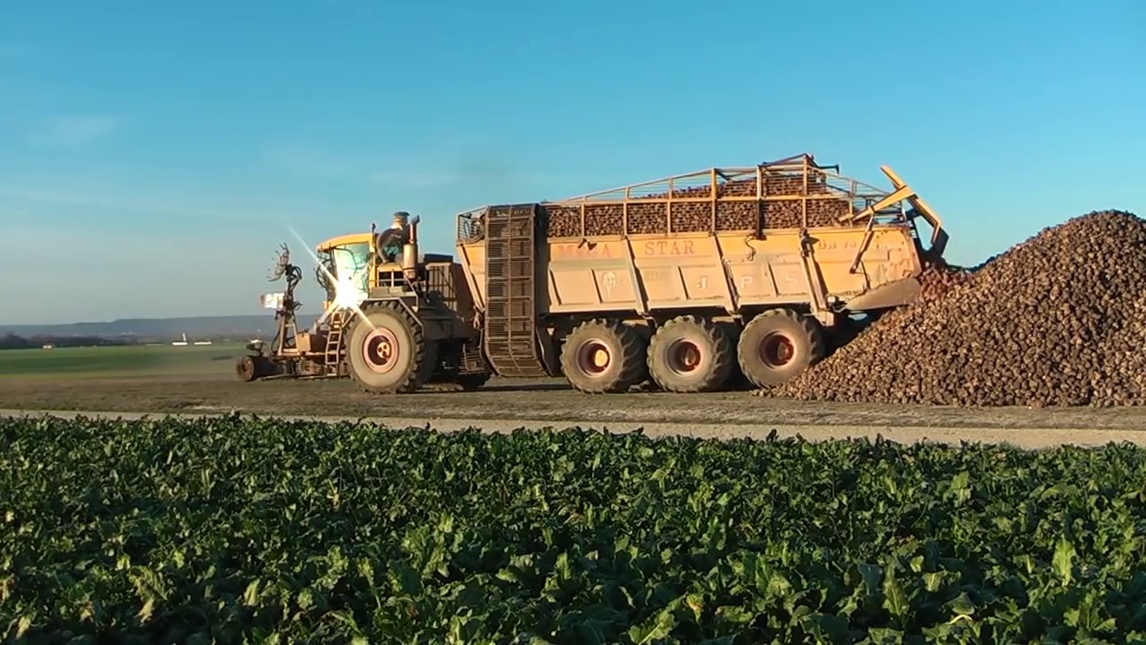 World Amazing Modern Agriculture Equipment and Mega Machines Sugar Beet ...
