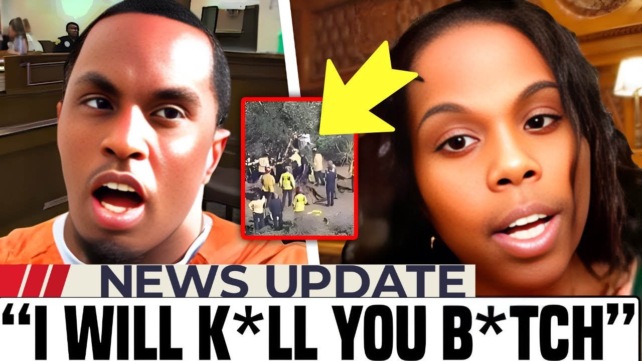 "Diddy Furious at Ally Carter for Revealing His Secret 'Freak Off ...