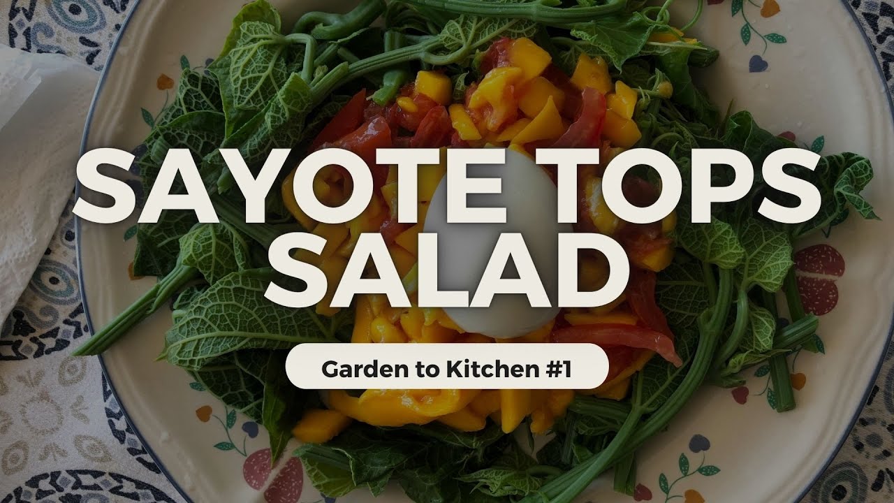 HOW TO COOK: Sayote (Chayote) Tops Salad - YouTube