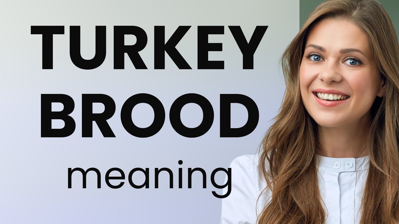 Unraveling the Phrase "Turkey Brood": A Deep Dive - YouTube