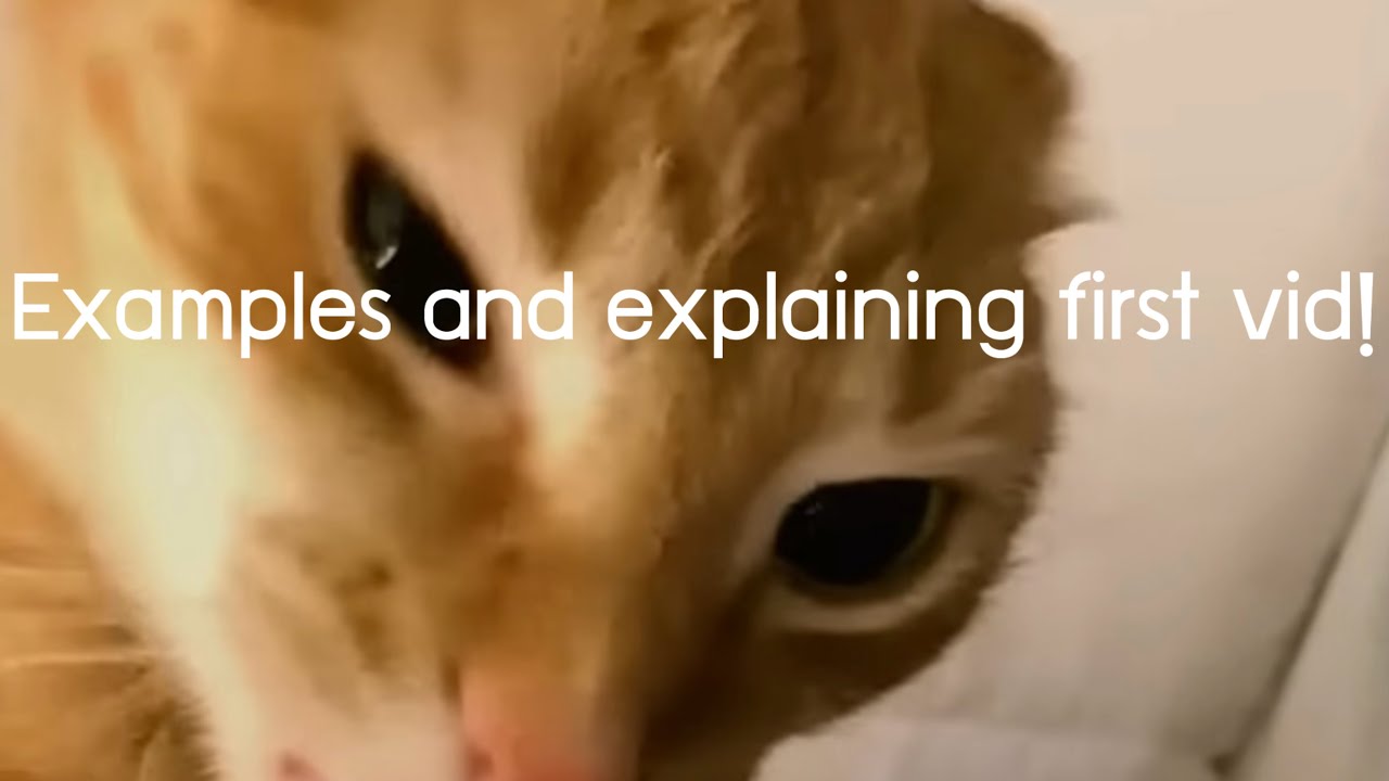 First vid! Examples and explaining! (For cat memes) - YouTube