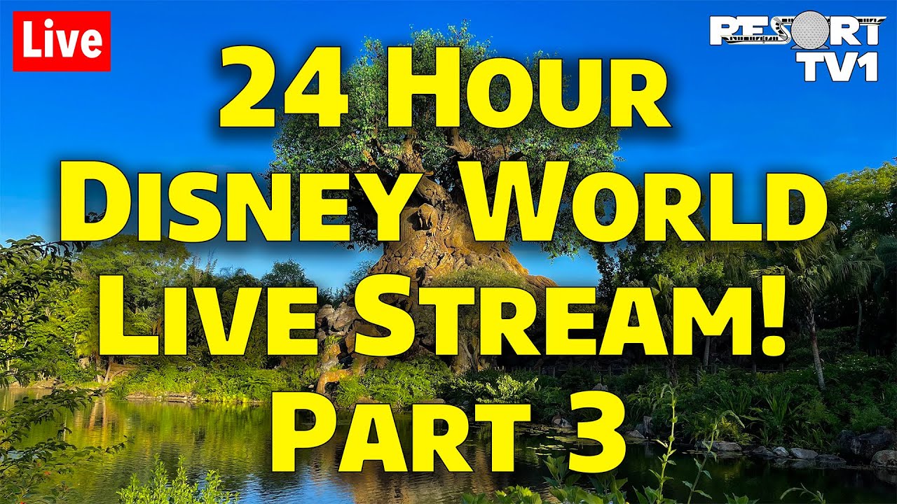 🔴Live: 24 HOUR Walt Disney World Live Stream - Part 3 - YouTube