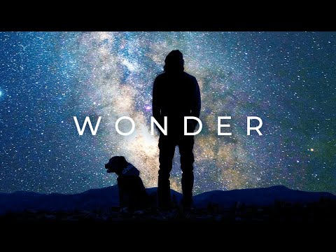 Alan Watts - Wonder