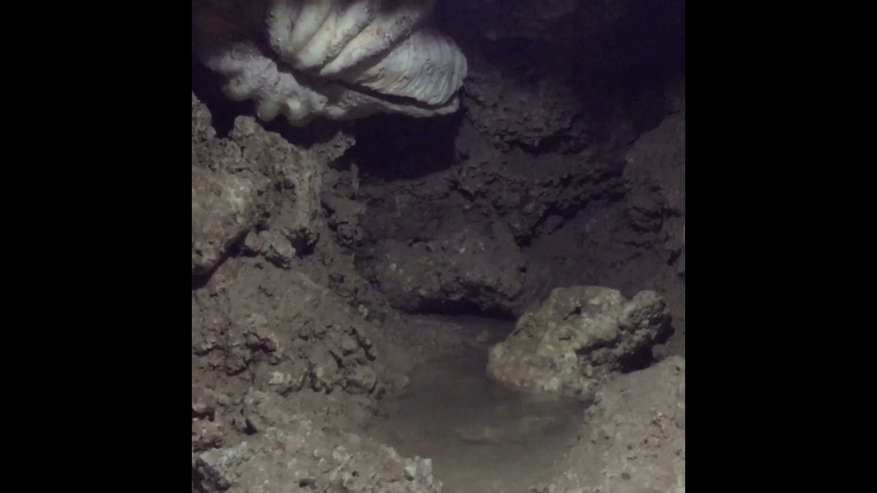 Kinatarcan Island - The Clam Cave Resort - YouTube