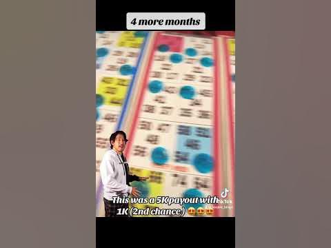 Bingo Shark Strip Game - YouTube