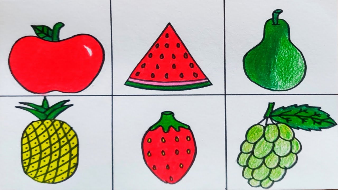 How to draw fruits step by step | How to draw different types of fruits ...