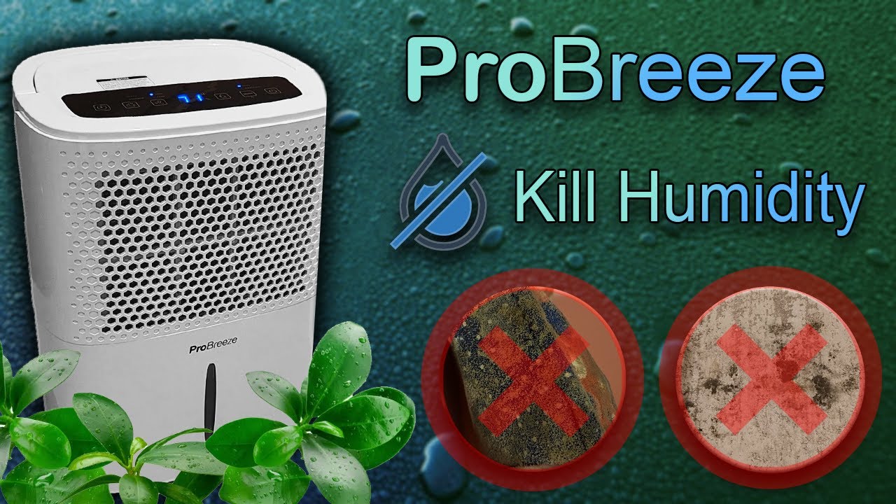 Pro Breeze Dehumidifier Does It Really Help How To Get Rid Of The pro-breeze-dehumidifier-does-it-really-help-how-to-get-rid-of-the
