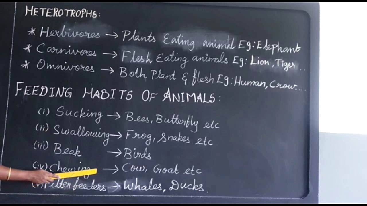 7th Science Lesson 2 Part 1 YouTube 7th-science-lesson-2-part-1-youtube