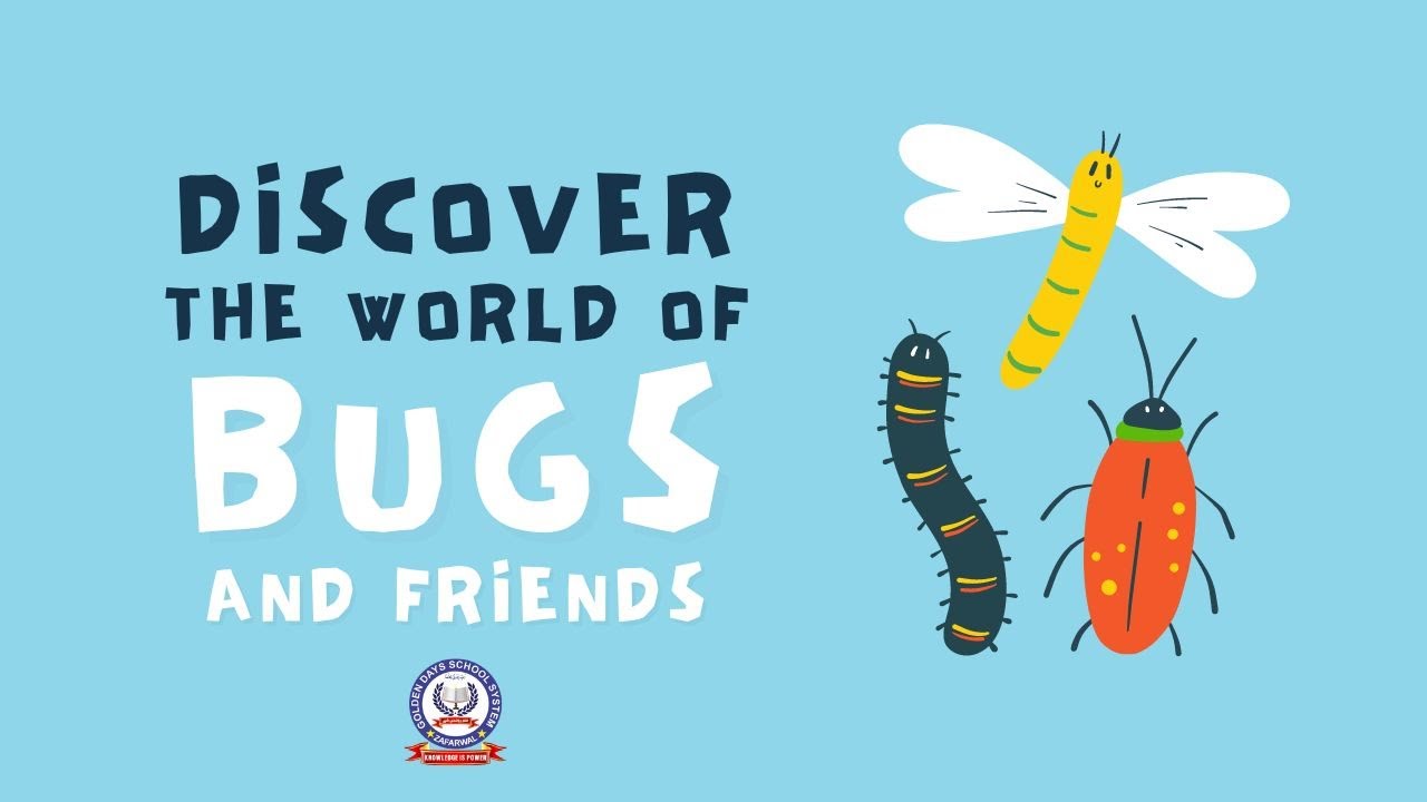 Discover the World of Bugs and Friends: A Fun Exploration - YouTube