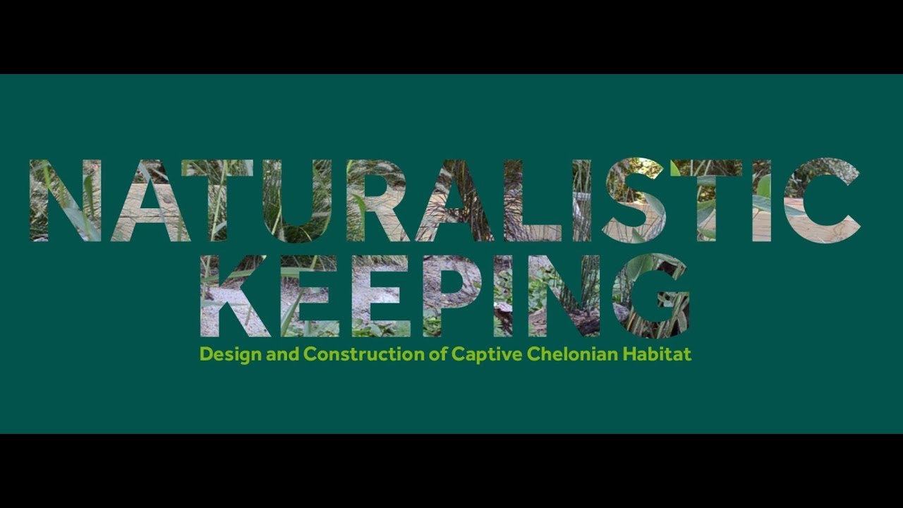 Naturalistic Keeping: Design and Construction of Captive Chelonian ...