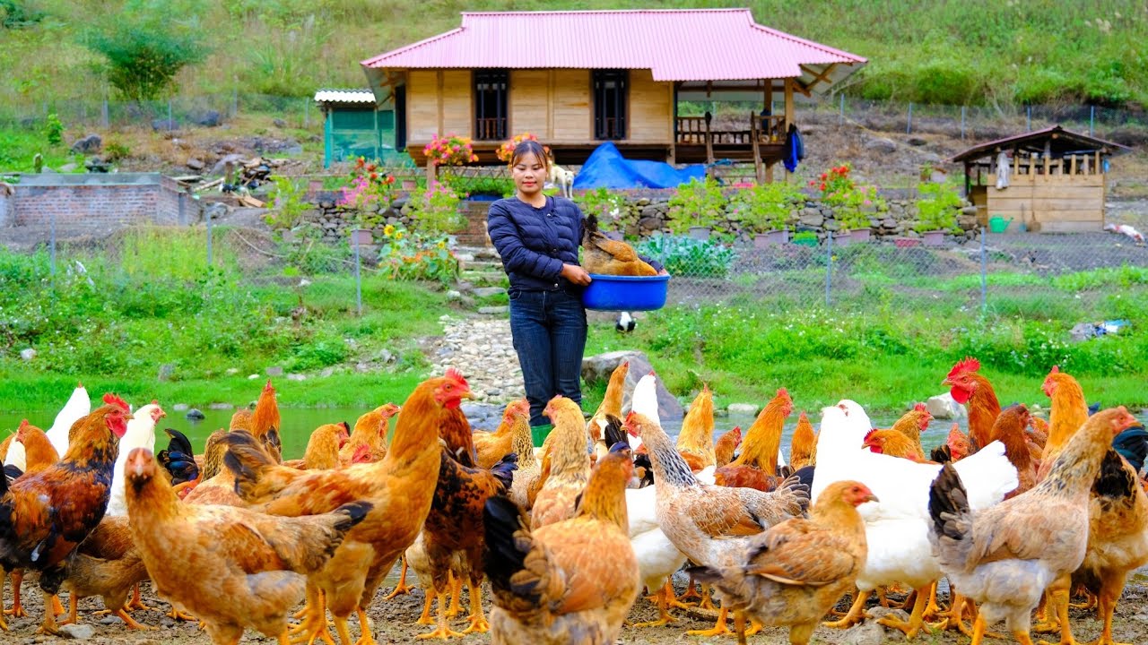 4 years - Life in the wild - harvesting crops, working hard every day ...