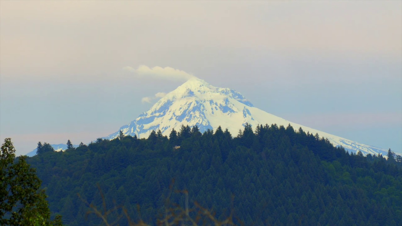 Canon FX 400 Test Footage - YouTube