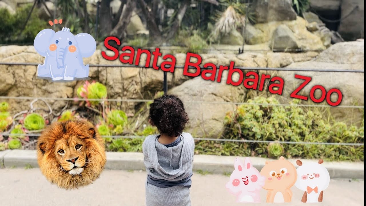 OUR TRIP TO SANTA BARBARA ZOO - YouTube