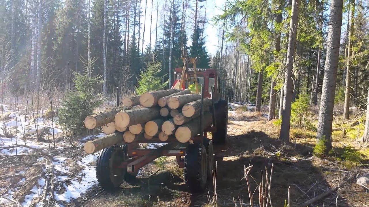 Swedish Logging - YouTube