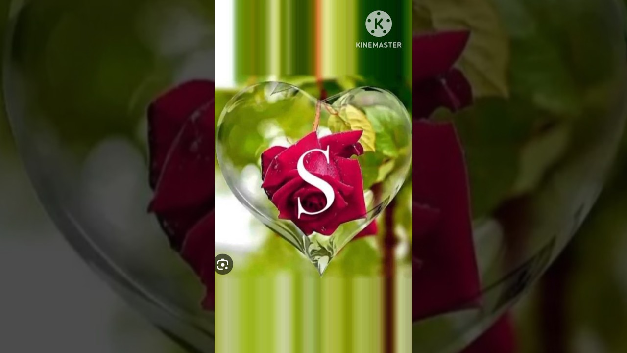 s name love 🥀🥰status s name WhatsApp status s name Facebook status s ...