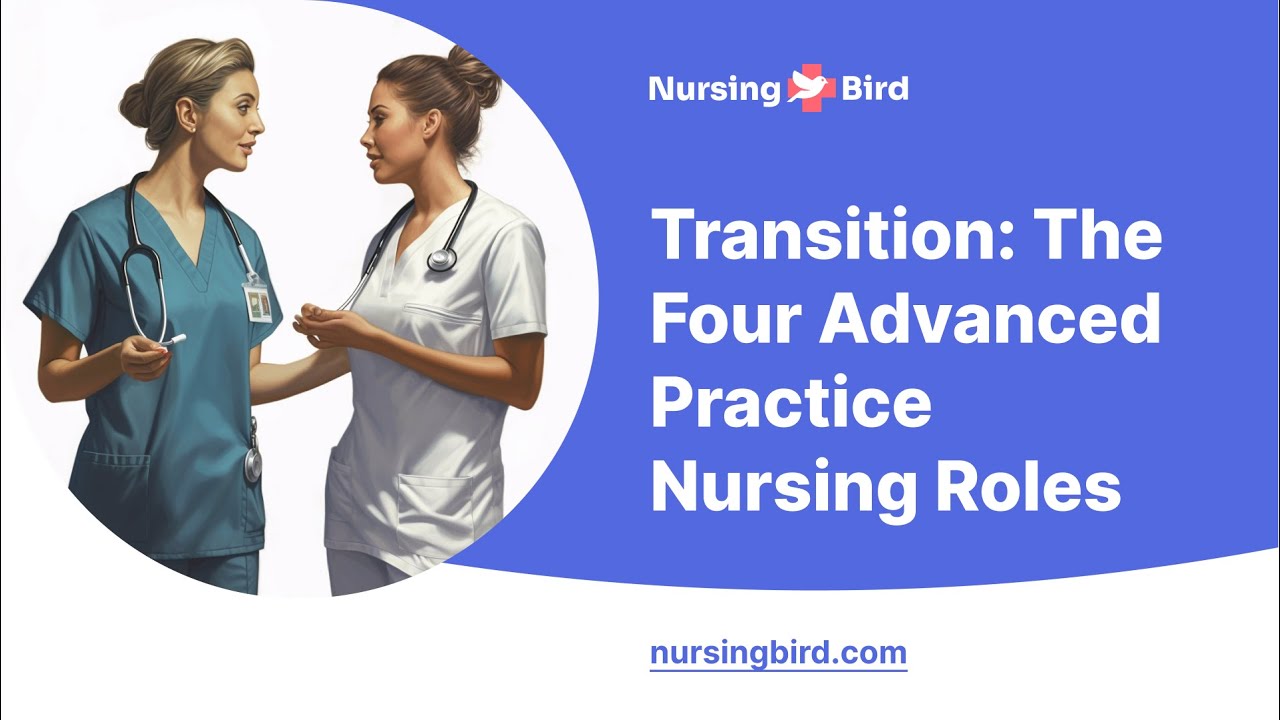 Transition: The Four Advanced Practice Nursing Roles - Essay Example ...