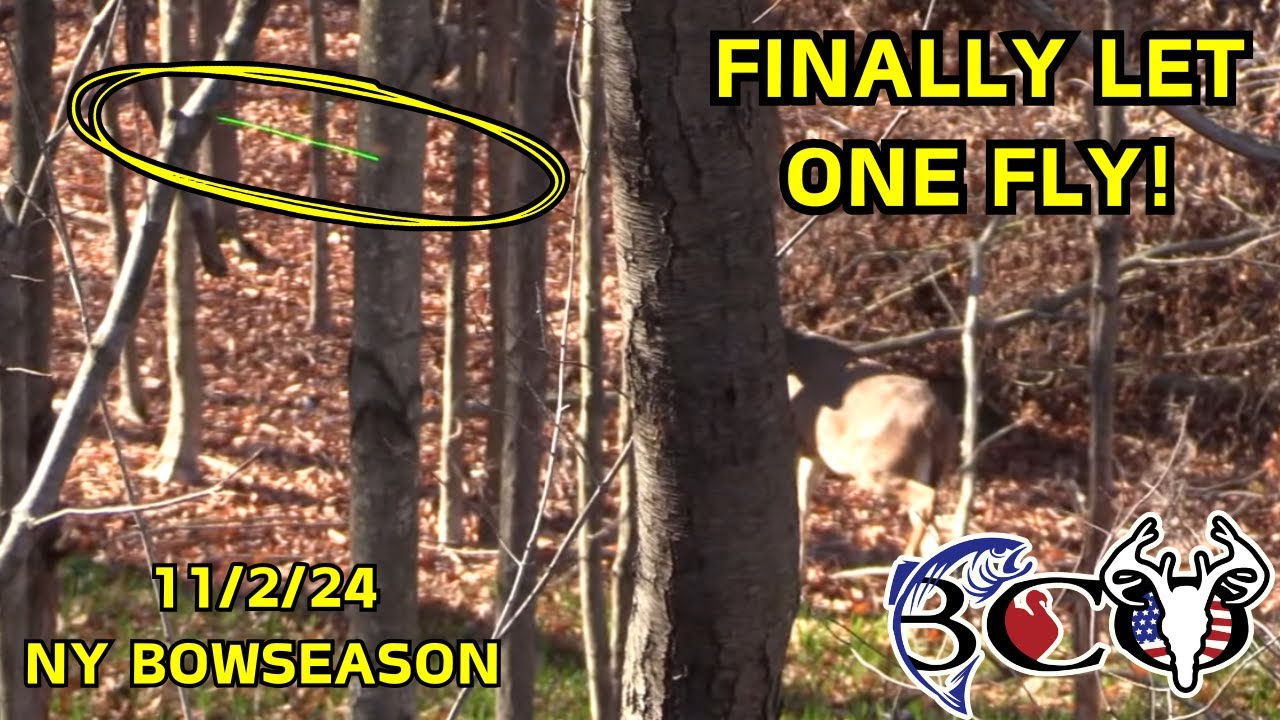 I RATTLED My TARGET BUCK in Range and Got a SHOCKING Result! - YouTube