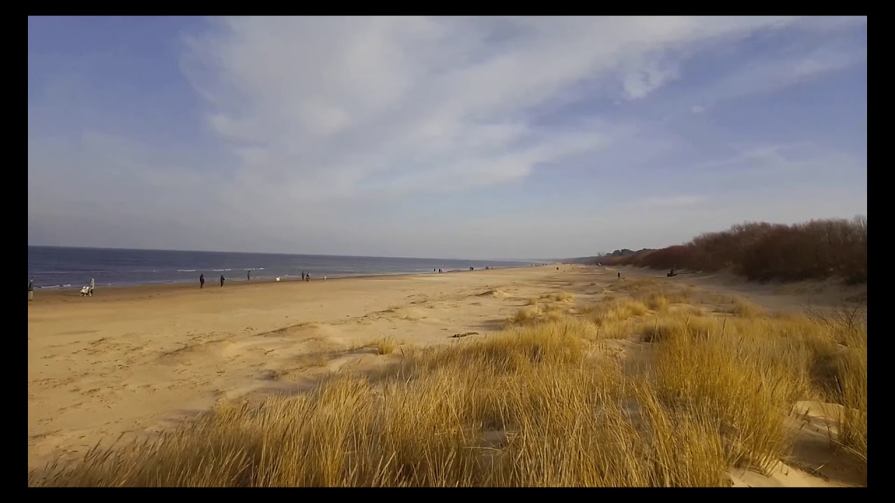 Tranquil Spring Beach Scene | Serene Views of Sea and Dunes - YouTube