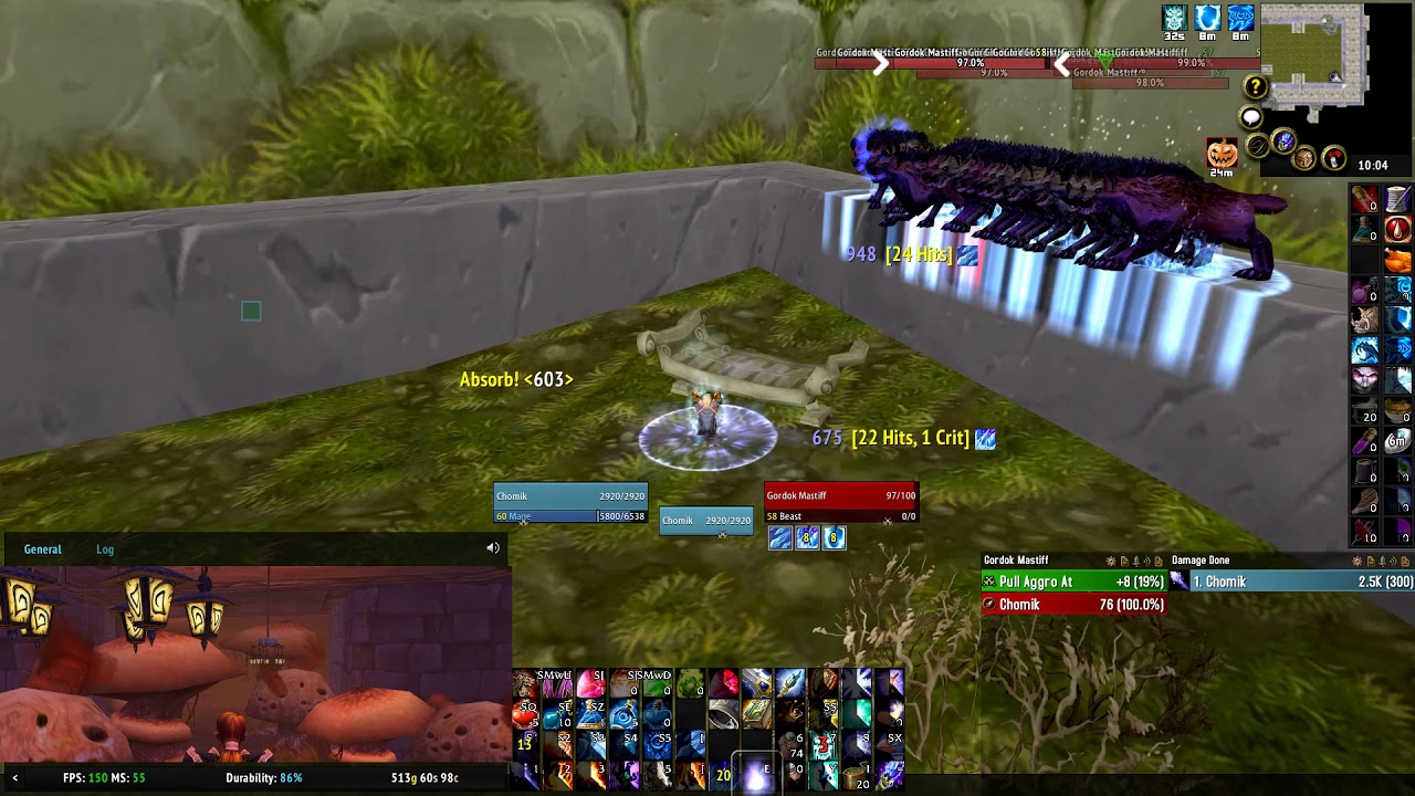 Dire Maul North Mage dogs farm without Iceblock - YouTube