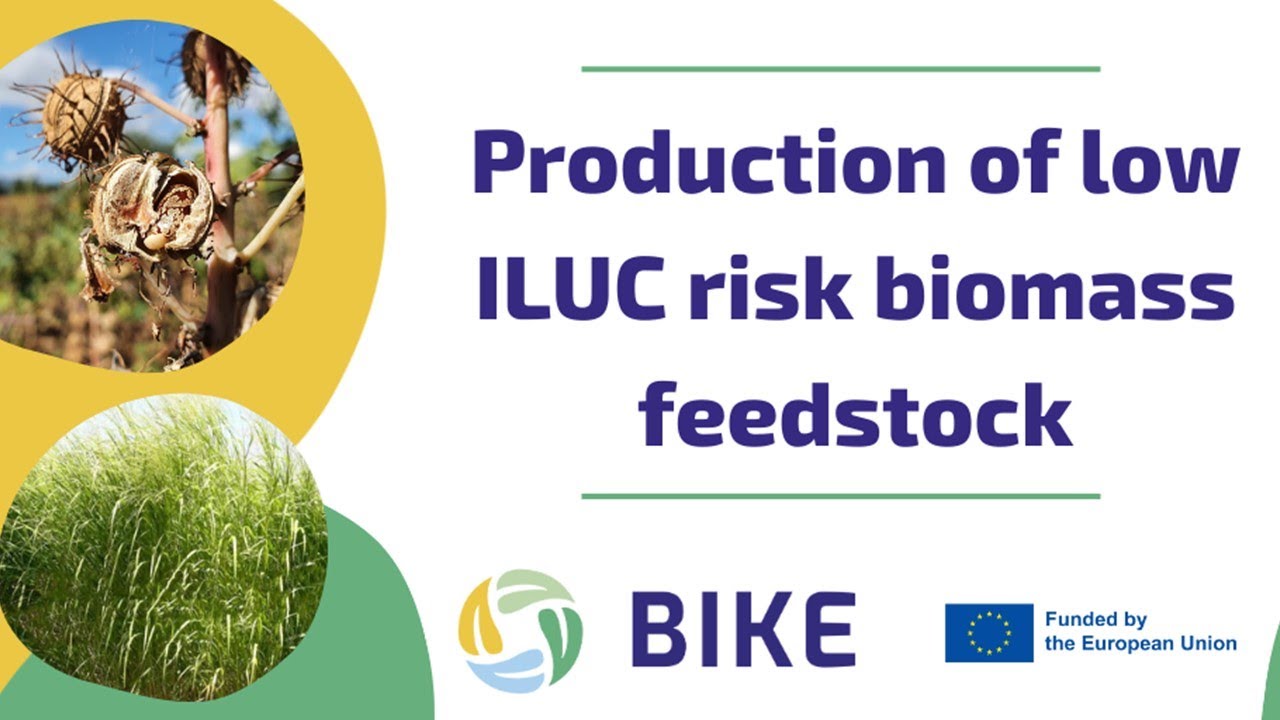 BIKE EU Project - Workshop: Production of low-ILUC risk biomass ...