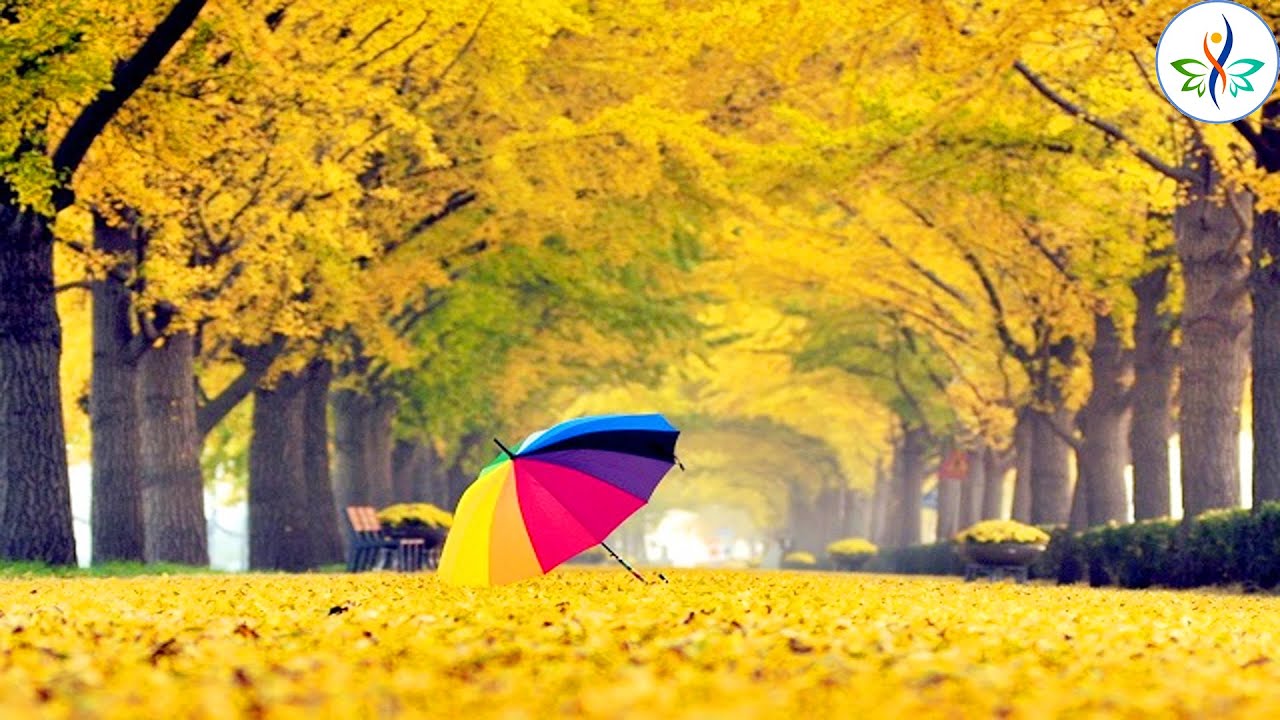 Beautiful Relaxing Hymns, Peaceful Piano Music, "Autumn Colors Morning ...