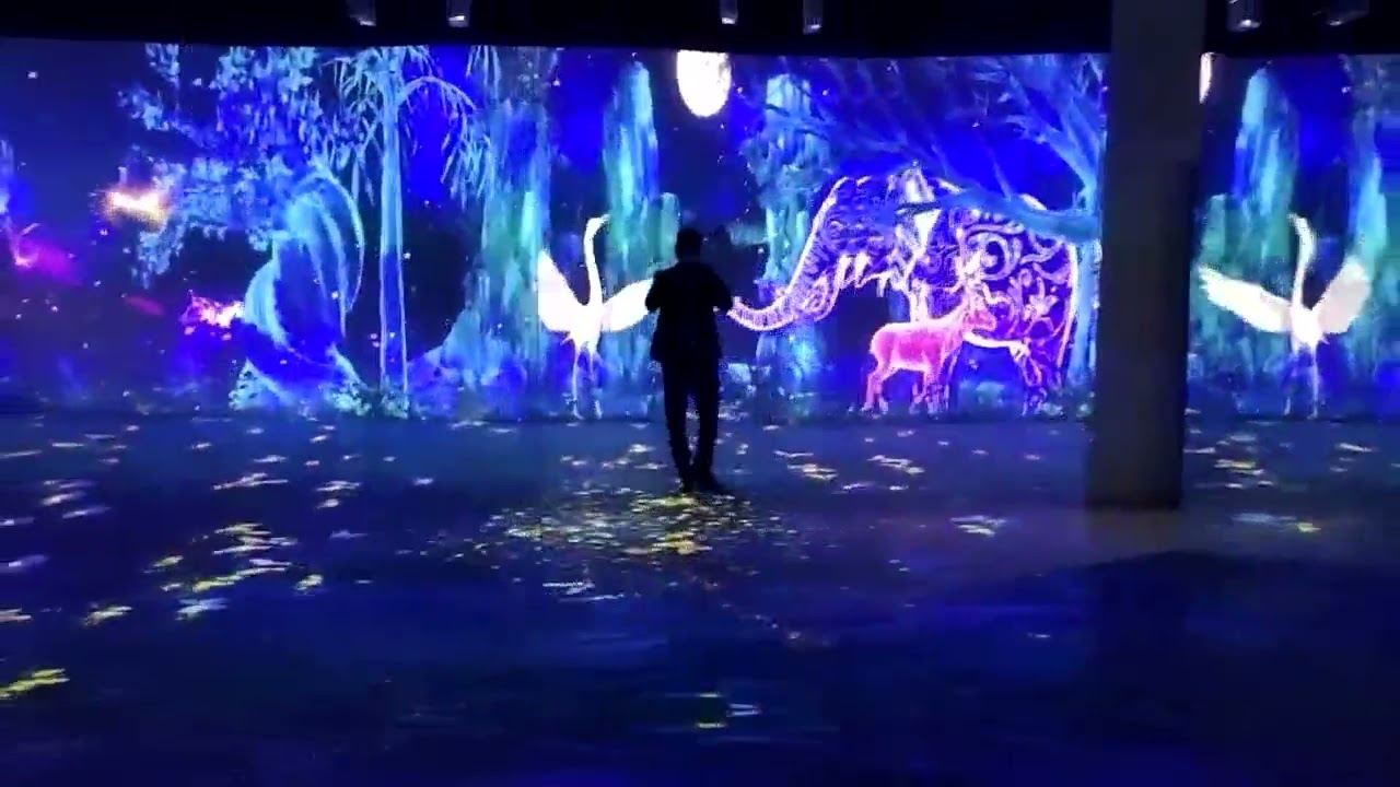 interactive 3D cave system projection VR/AR developed by DEFI TECH LTD ...