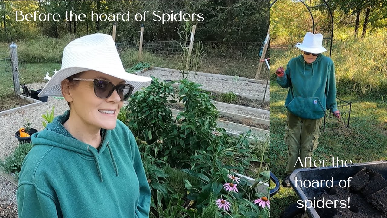 🕷️ Spider Horde!!! Amending the Garden with lots of new friends? 😨 ...