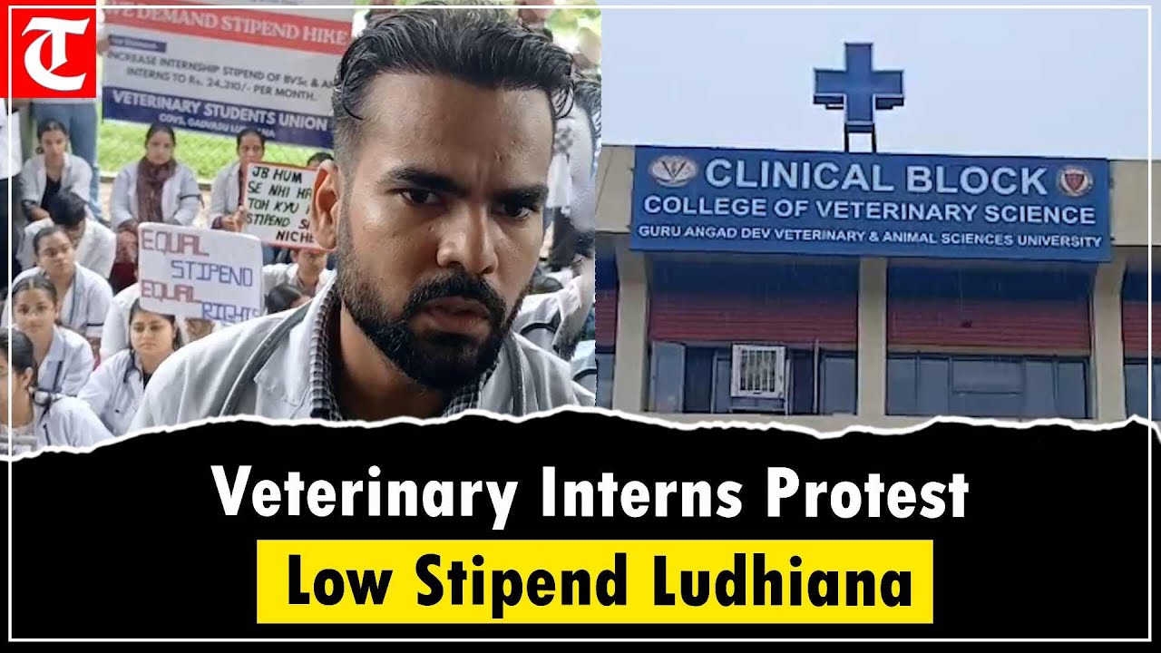 Intern veterinary doctors protest over low stipend at varsity in ...