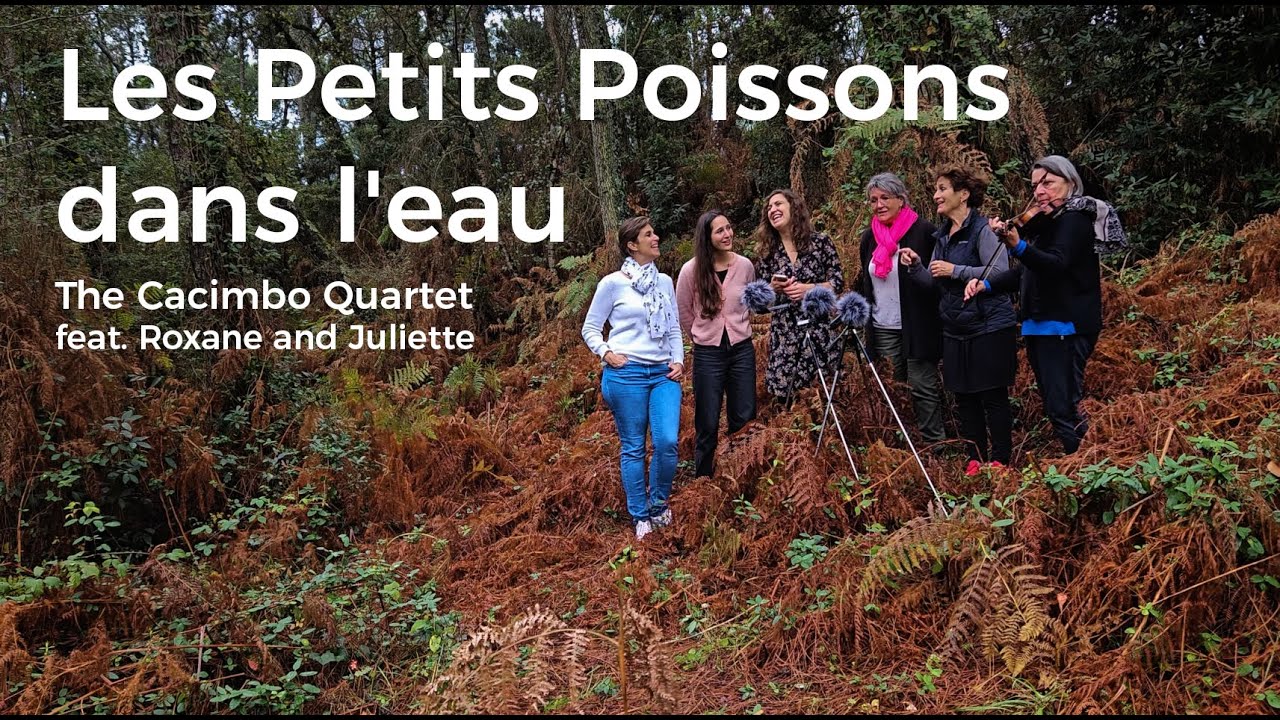 The Cacimbo Quartet - Les Petits Poissons dans l'eau (feat. Roxane and ...