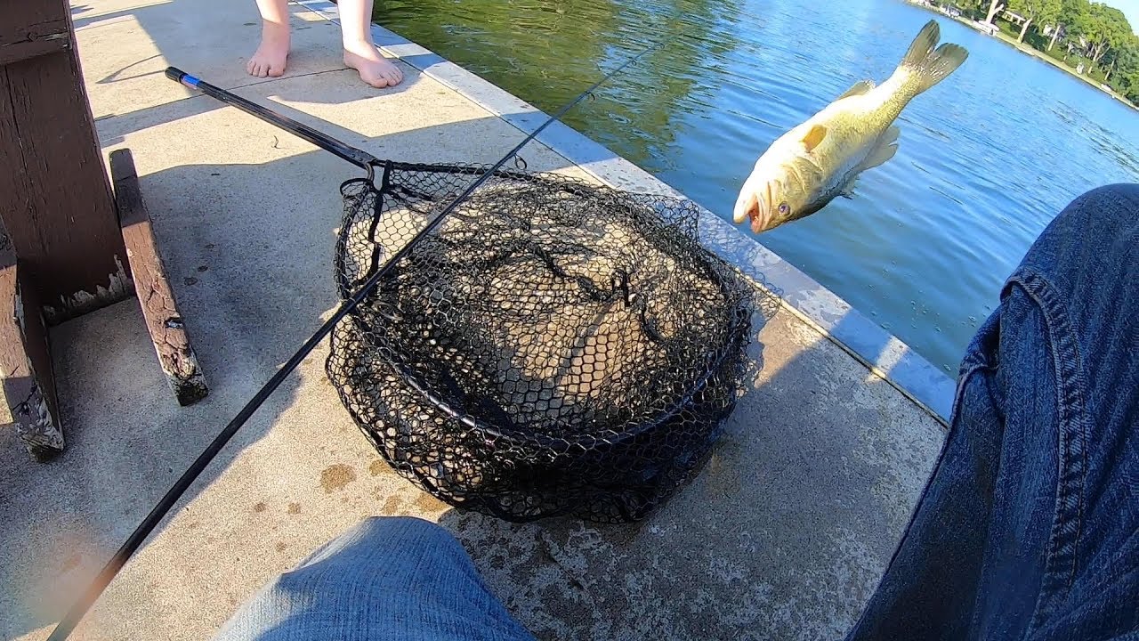 Largemouth Bass Laughter - YouTube
