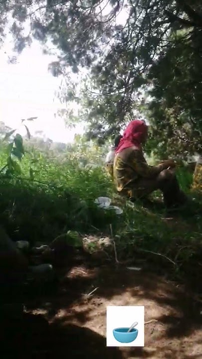 armuerzo 🥣😳🏚️🌳🌏🥪 #music - YouTube