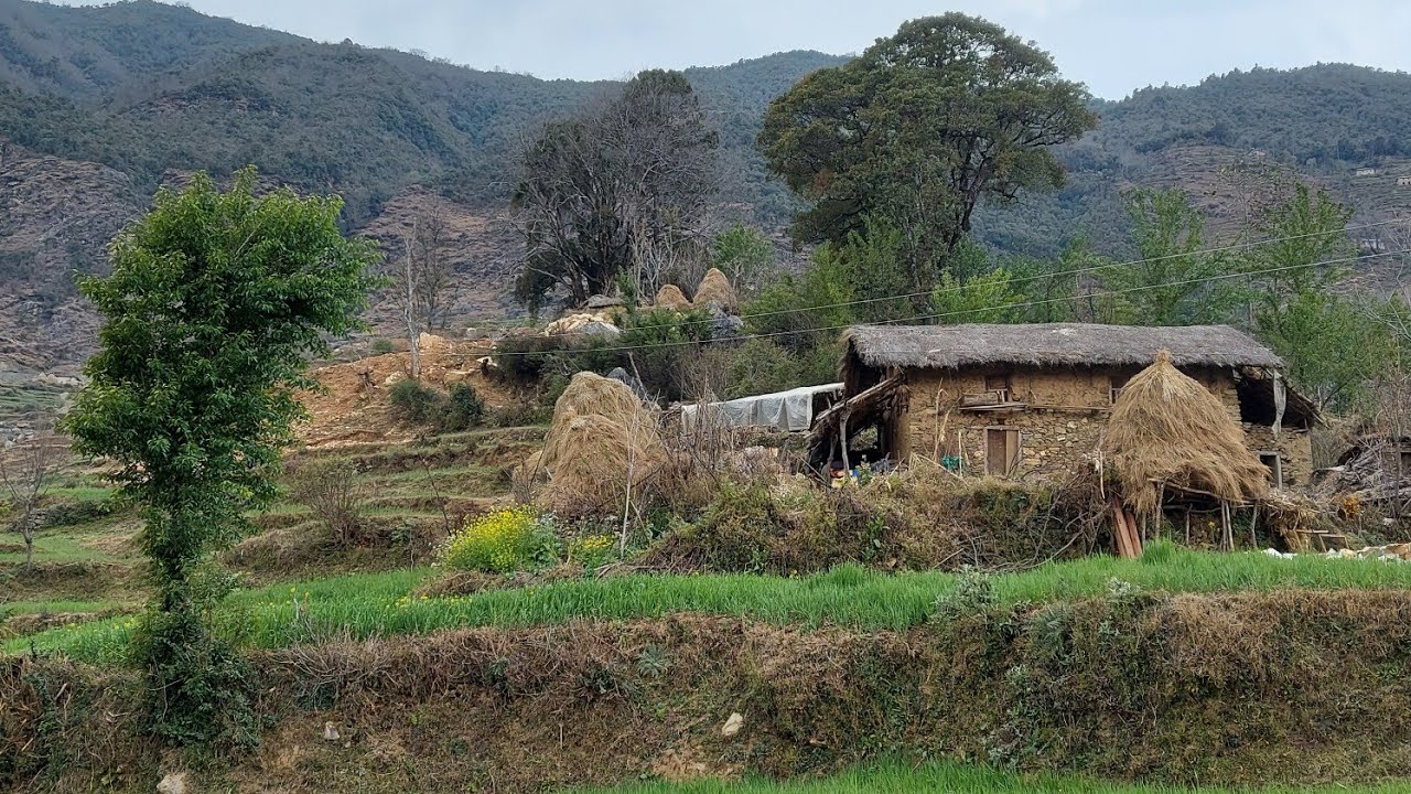 Naturally Beautiful Nepali Mountain Village Life || Happy Life in the ...
