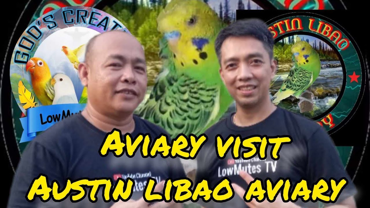Aviary Visit With AUSTIN LIBAO AVIARY from Las Pinas / HAGOROMO BREEDER ...