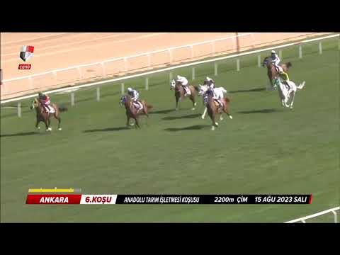 Grup 2 - Anadolu Tarım İşletmesi Koşusu galibi ''AYPARS'' oldu (15/08/2023)