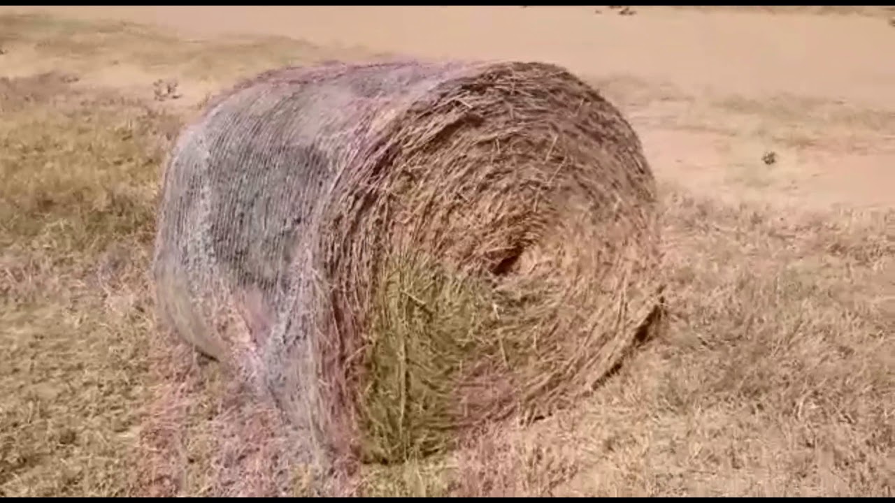A dry season in Paraguay - YouTube