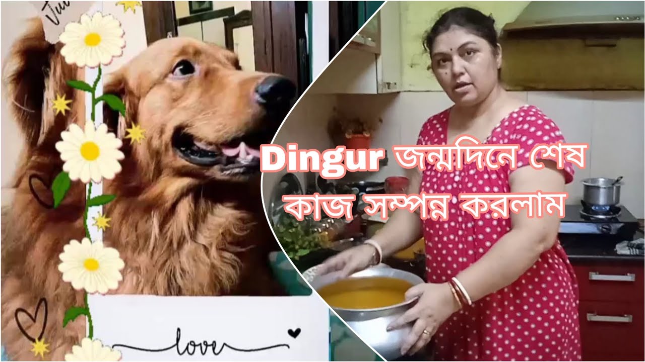 Dingur শেষ ক্রিয়া সম্পন্ন করতে হলো ওর জন্মদিনে ️😒। নরখাদক দের যদি একটু ...