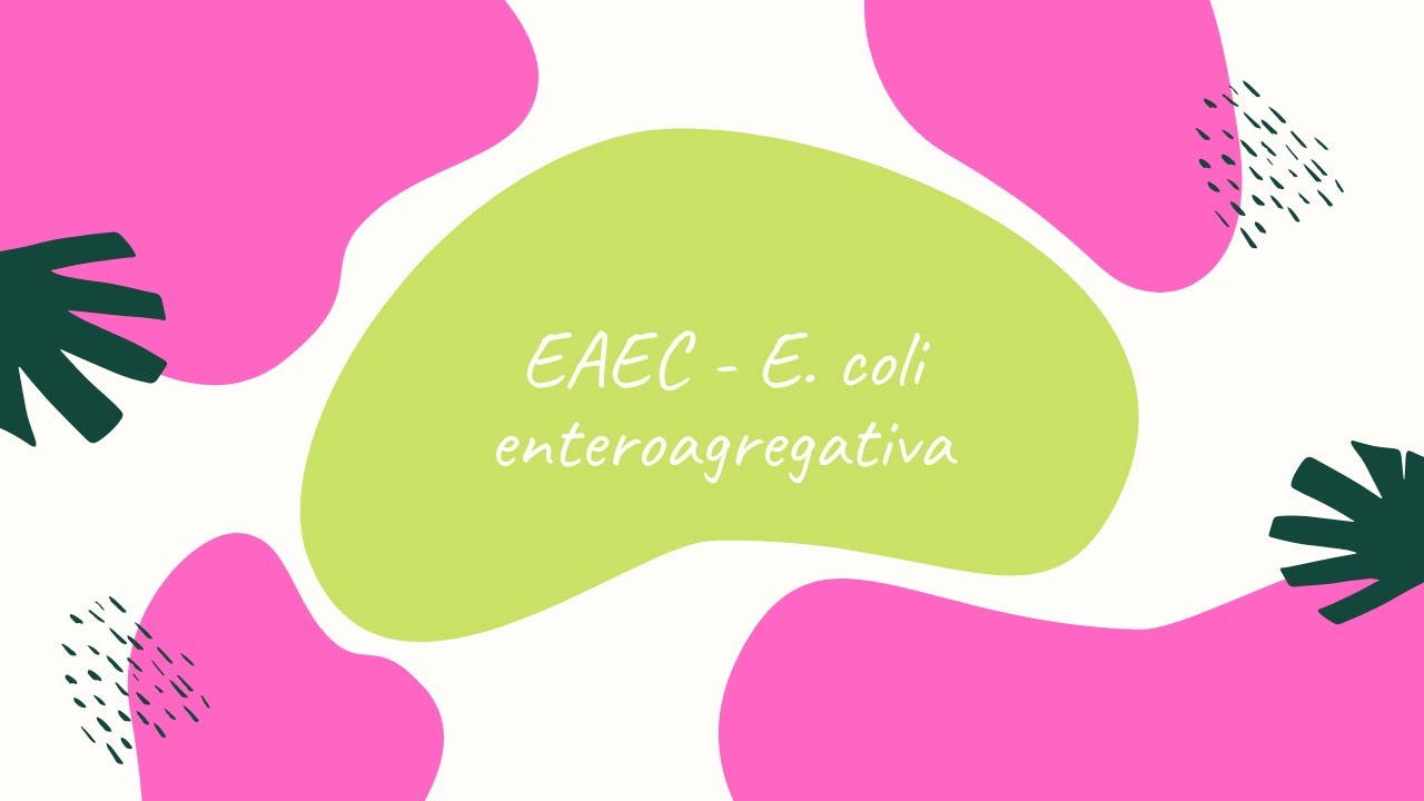 EAEC - Escherichia coli enteroagregativa - YouTube